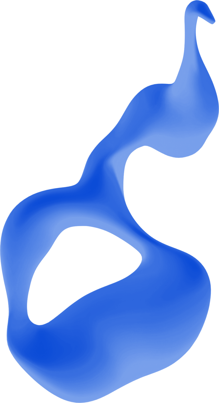 Portfolio – Variant